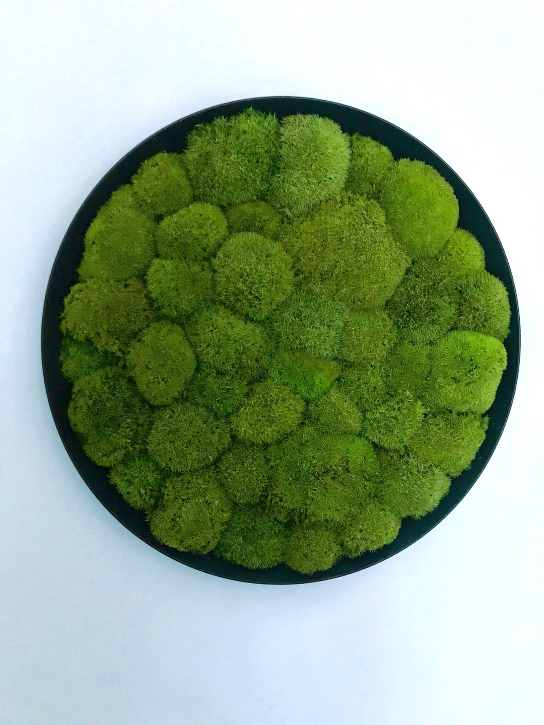 Circular Preserved Moss. Round Moss Wall Art. Handmade - Etsy