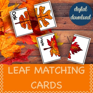 Fall Leaf Matching Game- Printable Activity for Preschool and Daycare ...