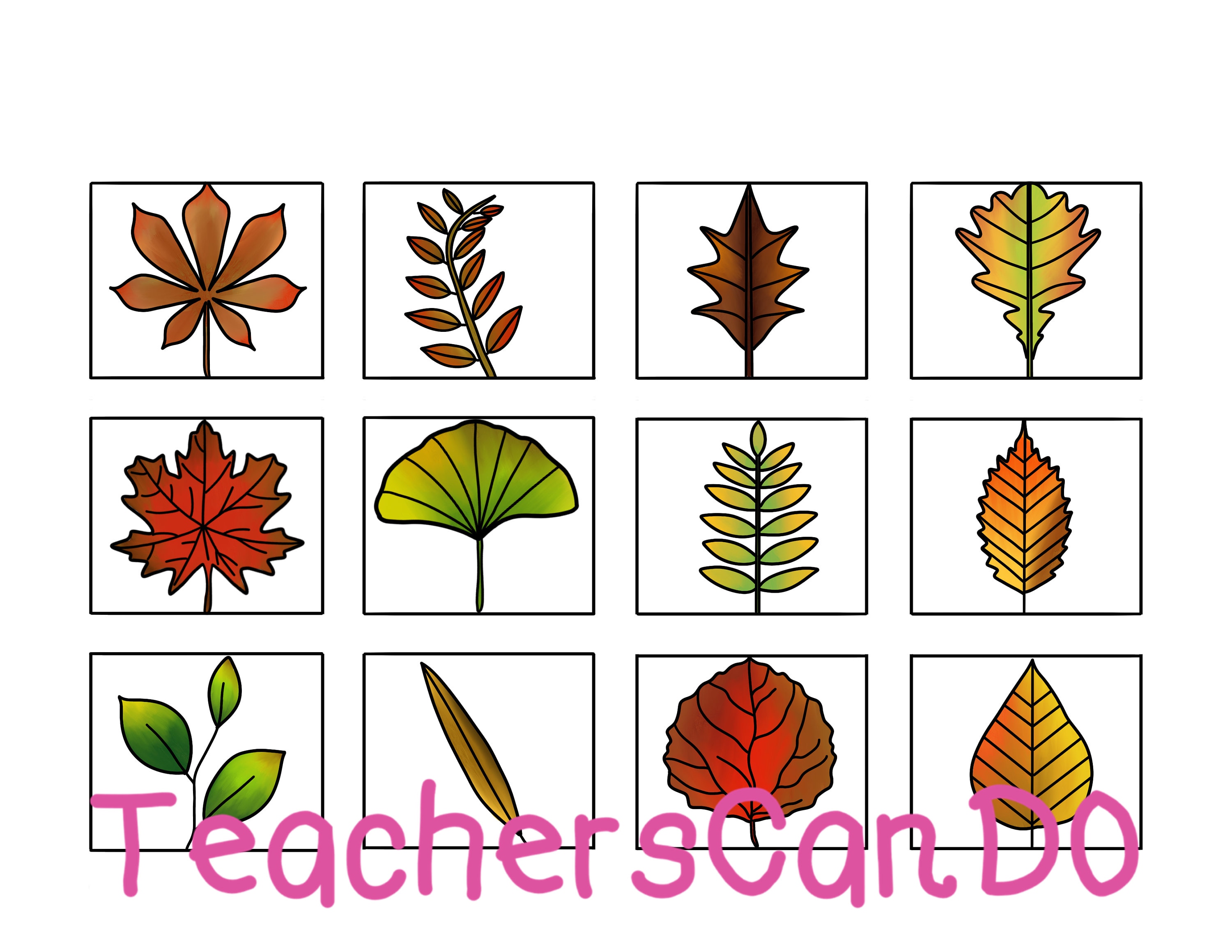 Fall Leaves Matching Activity PDF - Instant Download - Etsy