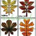 Fall Leaf Matching Game- Printable Activity for Preschool and Daycare ...