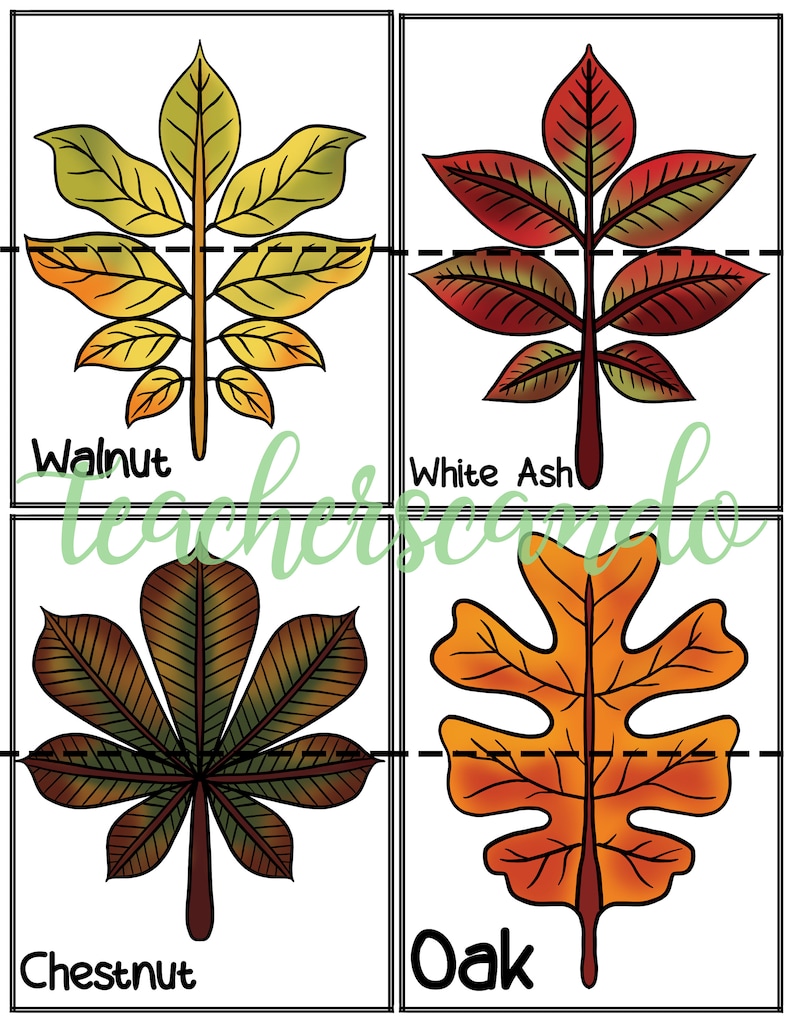 Fall Leaf Matching Game- Printable Activity for Preschool and Daycare ...