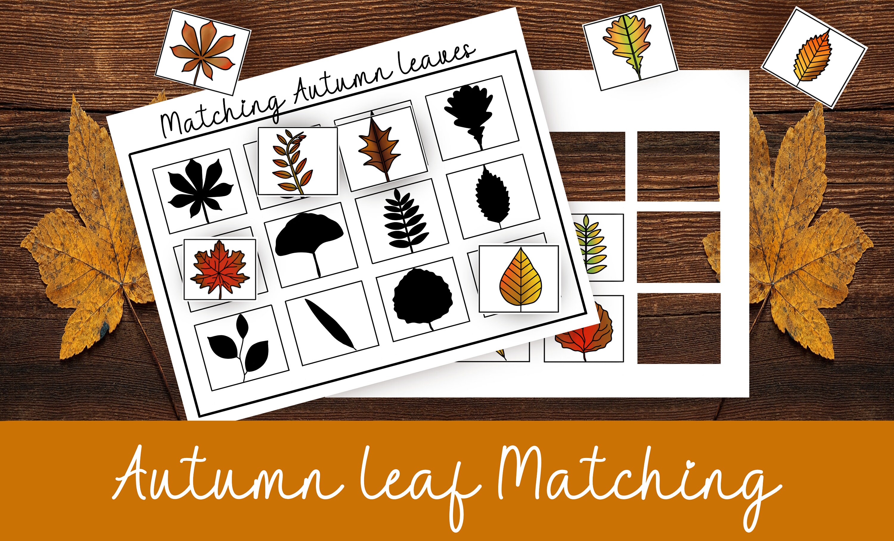 Fall Leaves Matching Activity PDF - Instant Download - Etsy