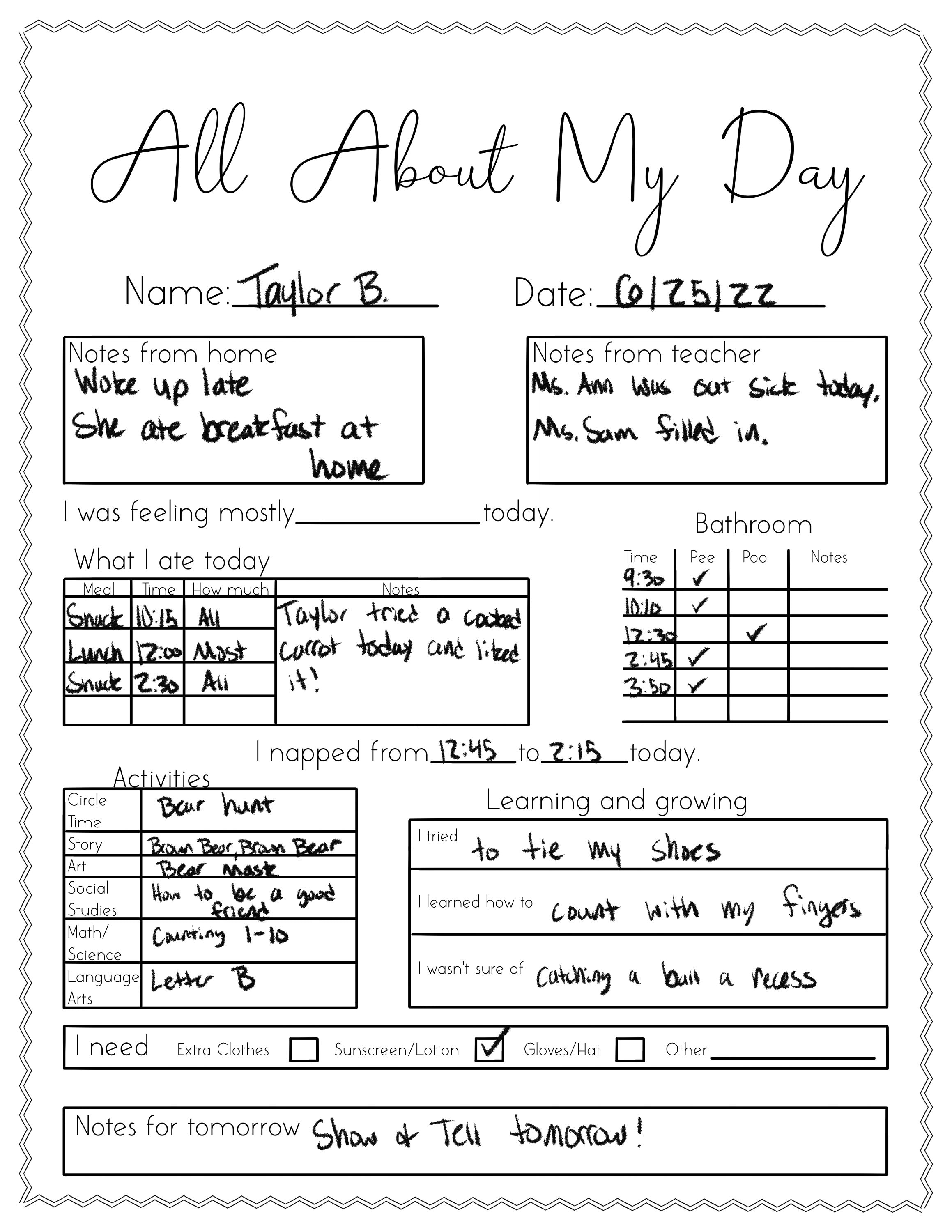 Fun and Detailed Digital Daily Report Template - Instant Download - Etsy