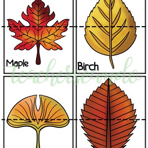 Fall Leaf Matching Game- Printable Activity for Preschool and Daycare ...