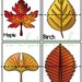 Fall Leaf Matching Game- Printable Activity for Preschool and Daycare ...