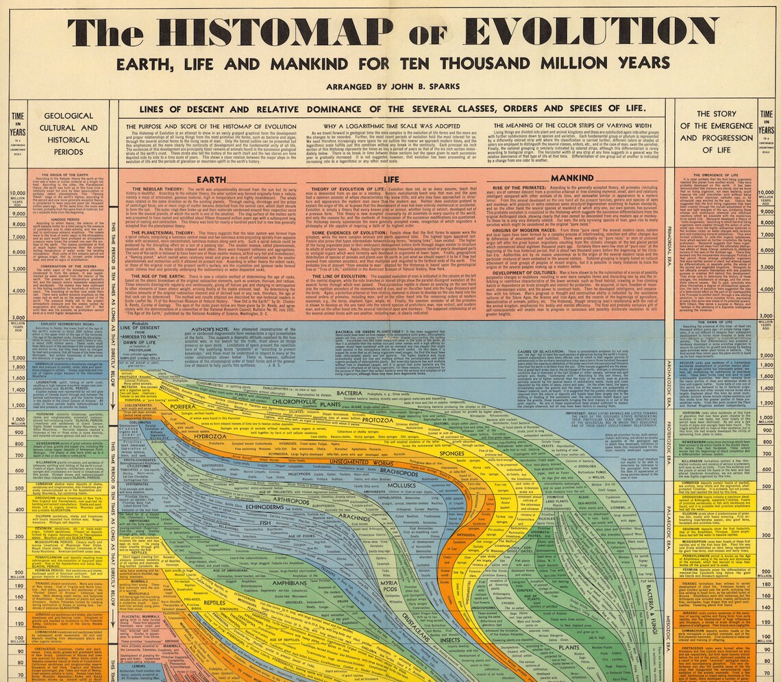 The Histomap of Evolution - Etsy UK