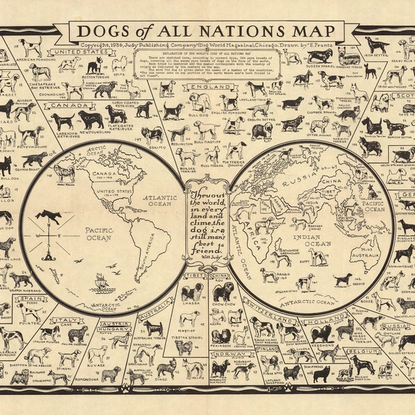 Dogs of All Nations Map - Etsy