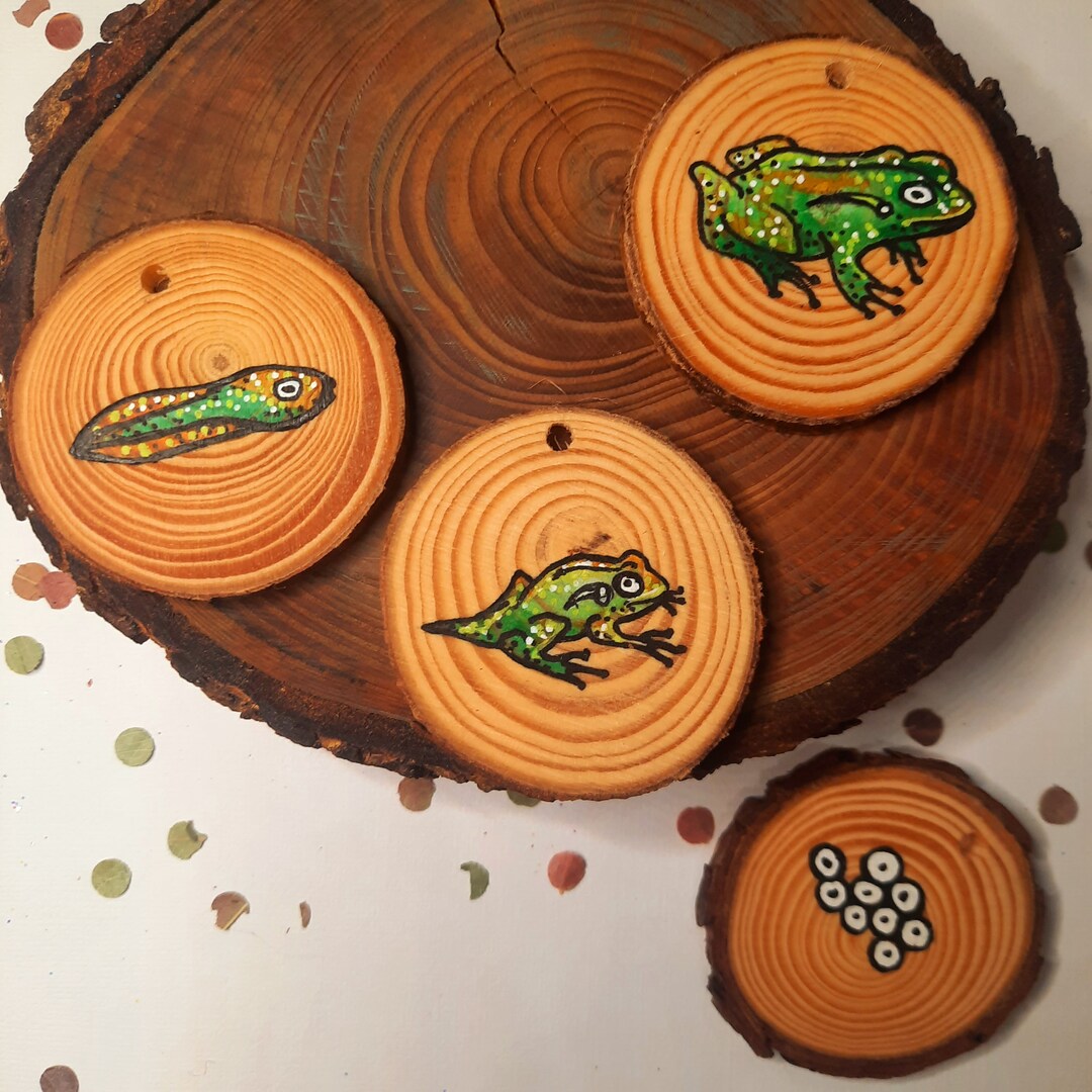 Frog Logs Frog Lifecycle - Etsy
