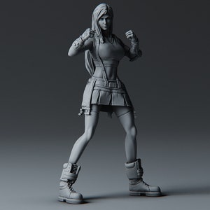 Tifa Fan Art Final Fantasy printed Obsession 3D Resin Print Dnd ...