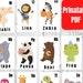 Animal Flash Cards, Printable Flash Cards, Learning Cards , Study Cards ...