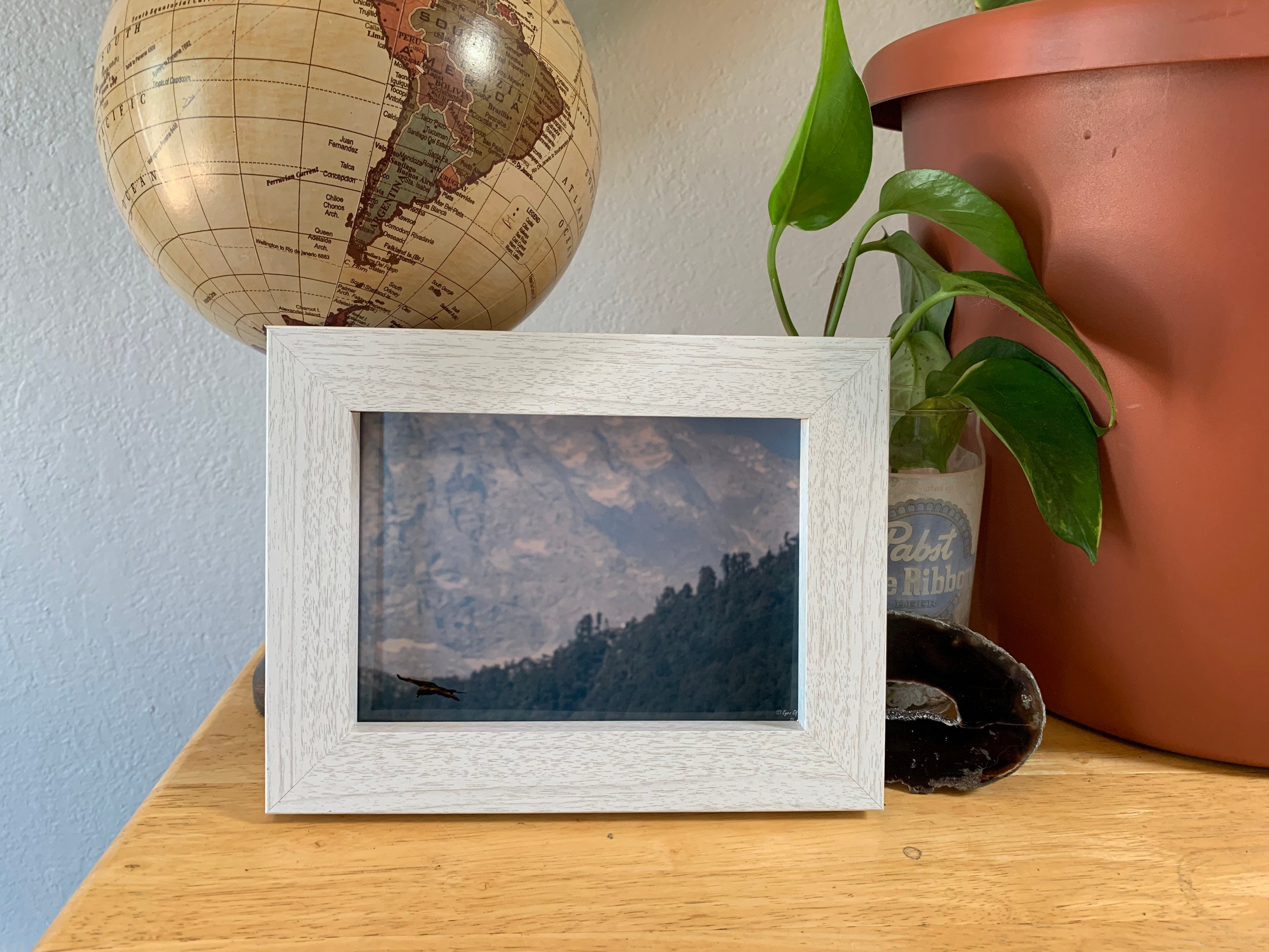 Golden Eagle, Himalayan Mountains, Wildlife Photography, Gift, Home ...