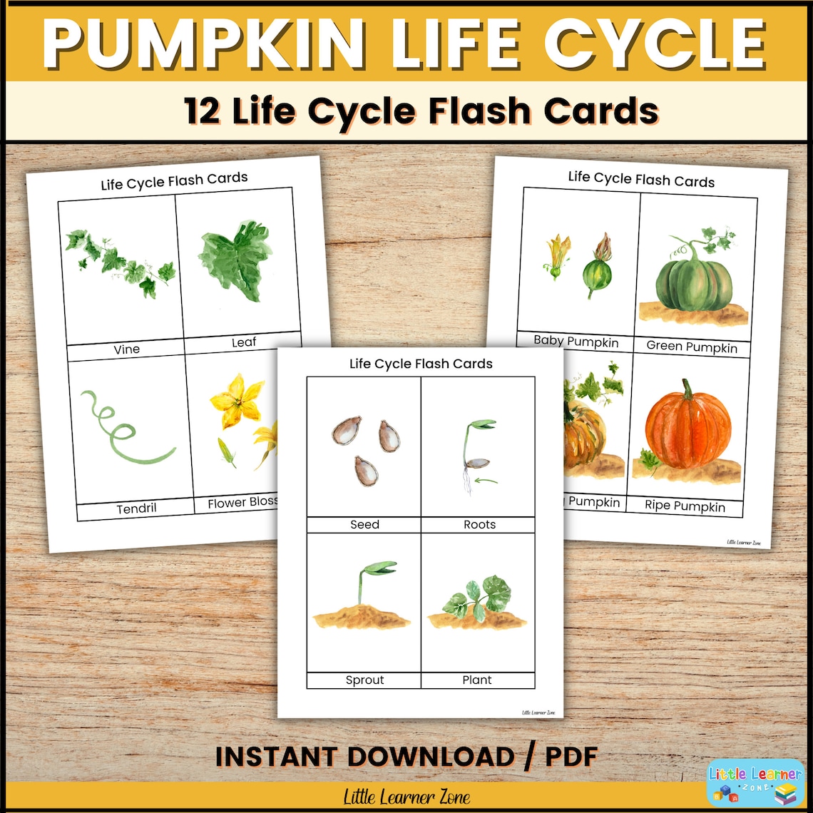 Pumpkin Life Cycle Printable, Fall Pumpkin Poster, Pumpkin Vocabulary ...