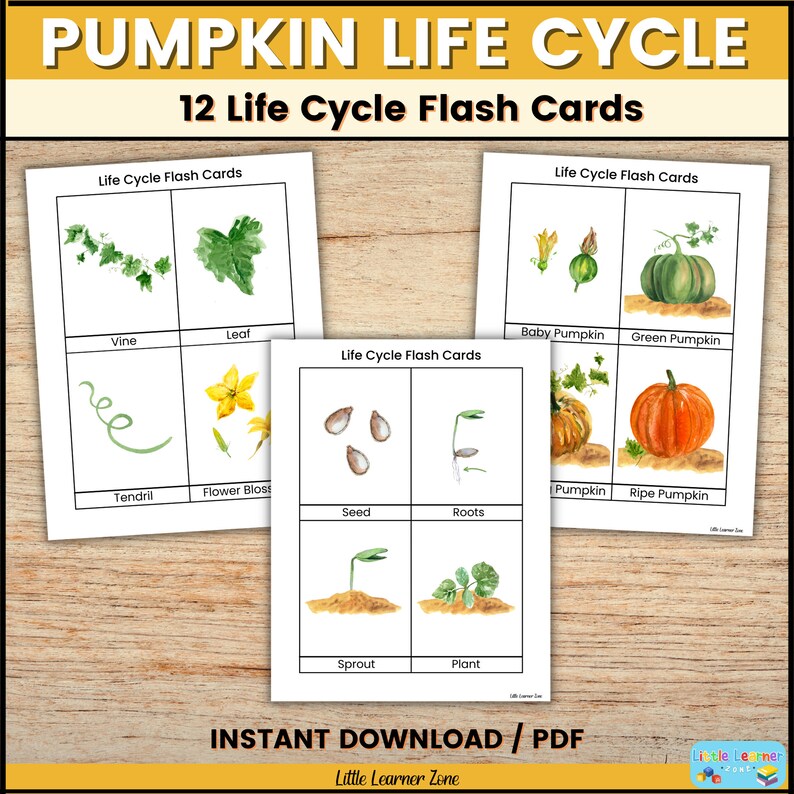 Pumpkin Life Cycle Printable, Fall Pumpkin Poster, Pumpkin Vocabulary ...