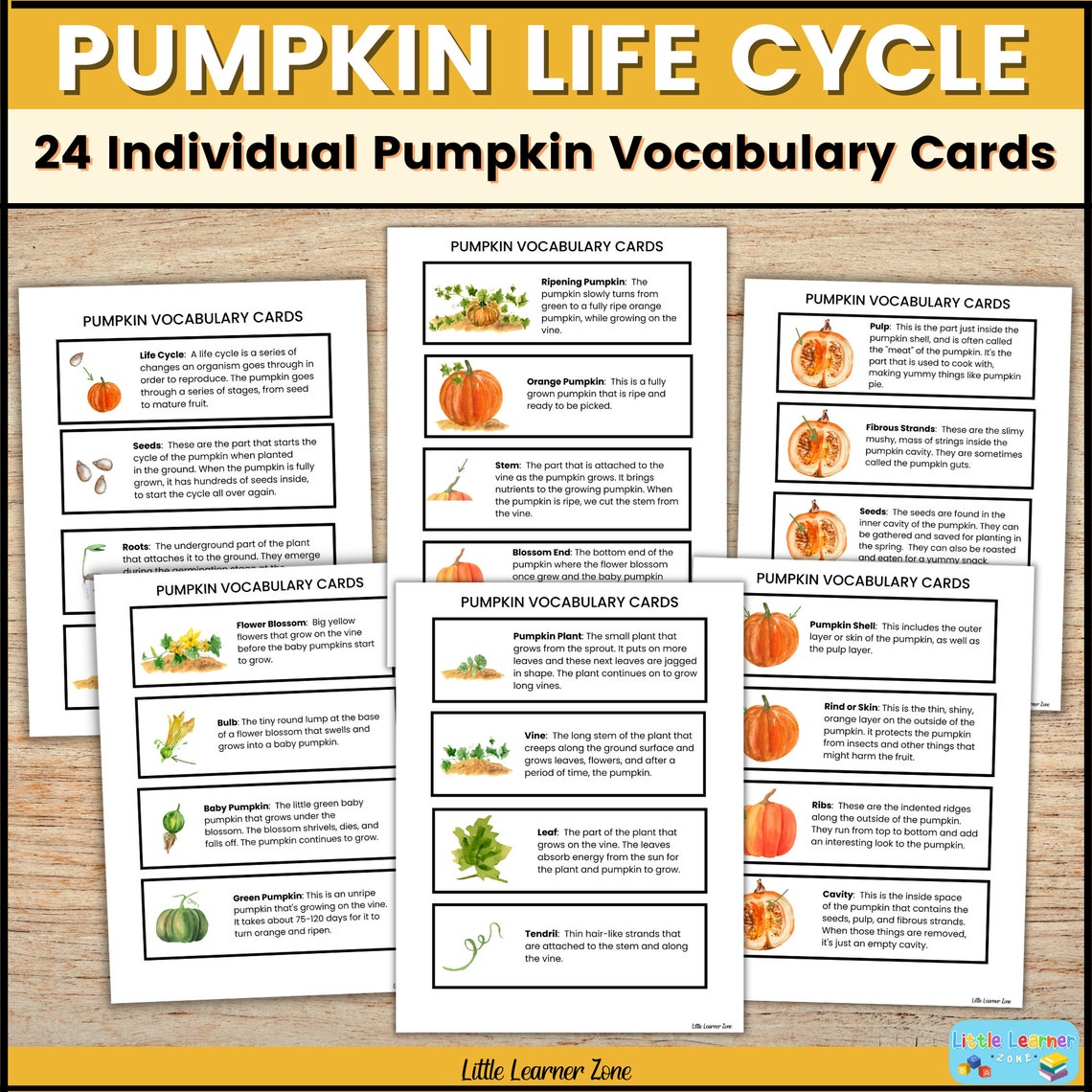 Pumpkin Life Cycle Printable, Fall Pumpkin Poster, Pumpkin Vocabulary ...