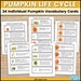 Pumpkin Life Cycle Printable, Fall Pumpkin Poster, Pumpkin Vocabulary ...