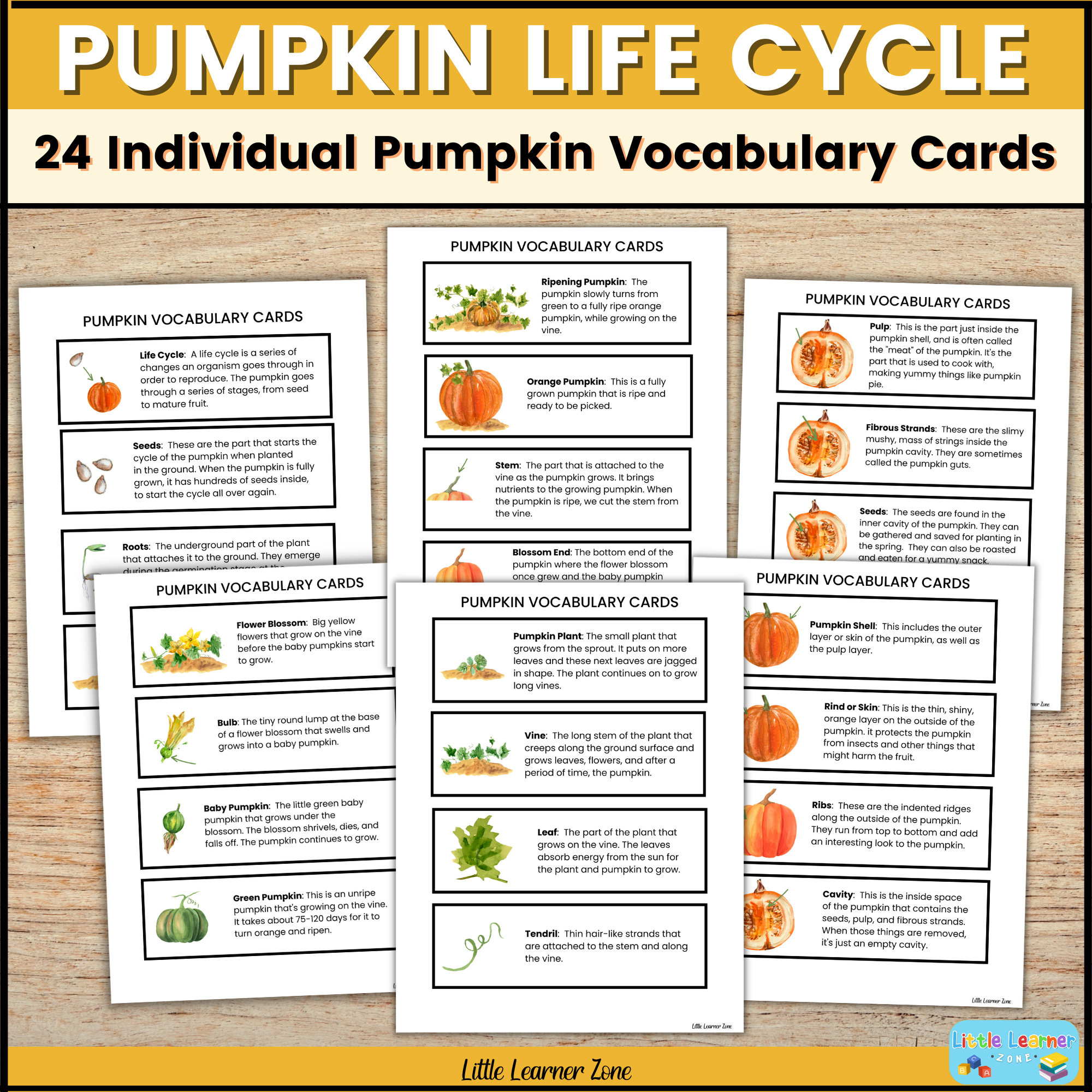 Pumpkin Life Cycle Printable, Fall Pumpkin Poster, Pumpkin Vocabulary ...