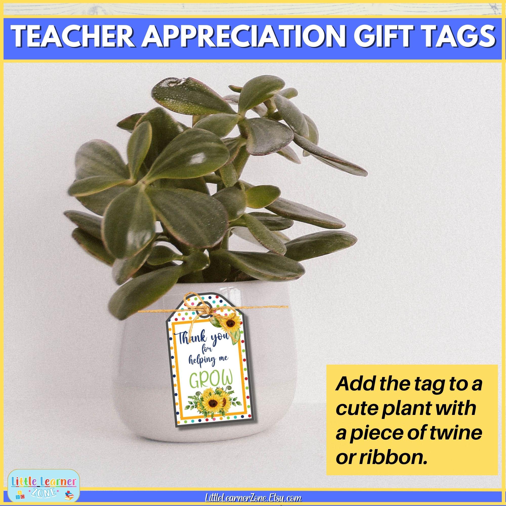 Teacher Appreciation Gift Tags, Teacher Gift Tag Printable, Teacher ...