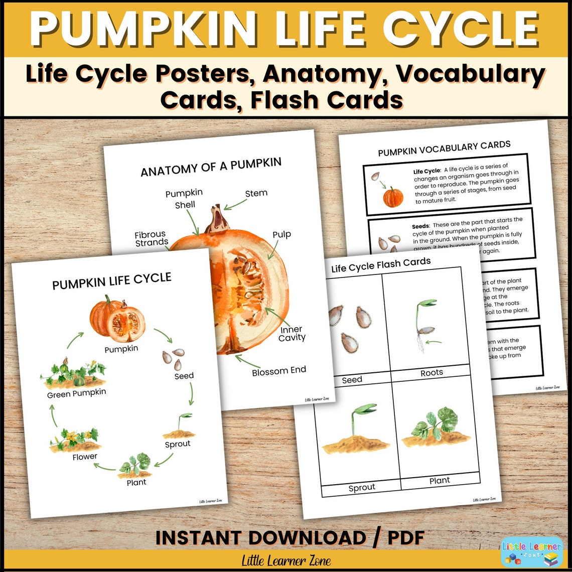 Pumpkin Life Cycle Printable, Fall Pumpkin Poster, Pumpkin Vocabulary ...