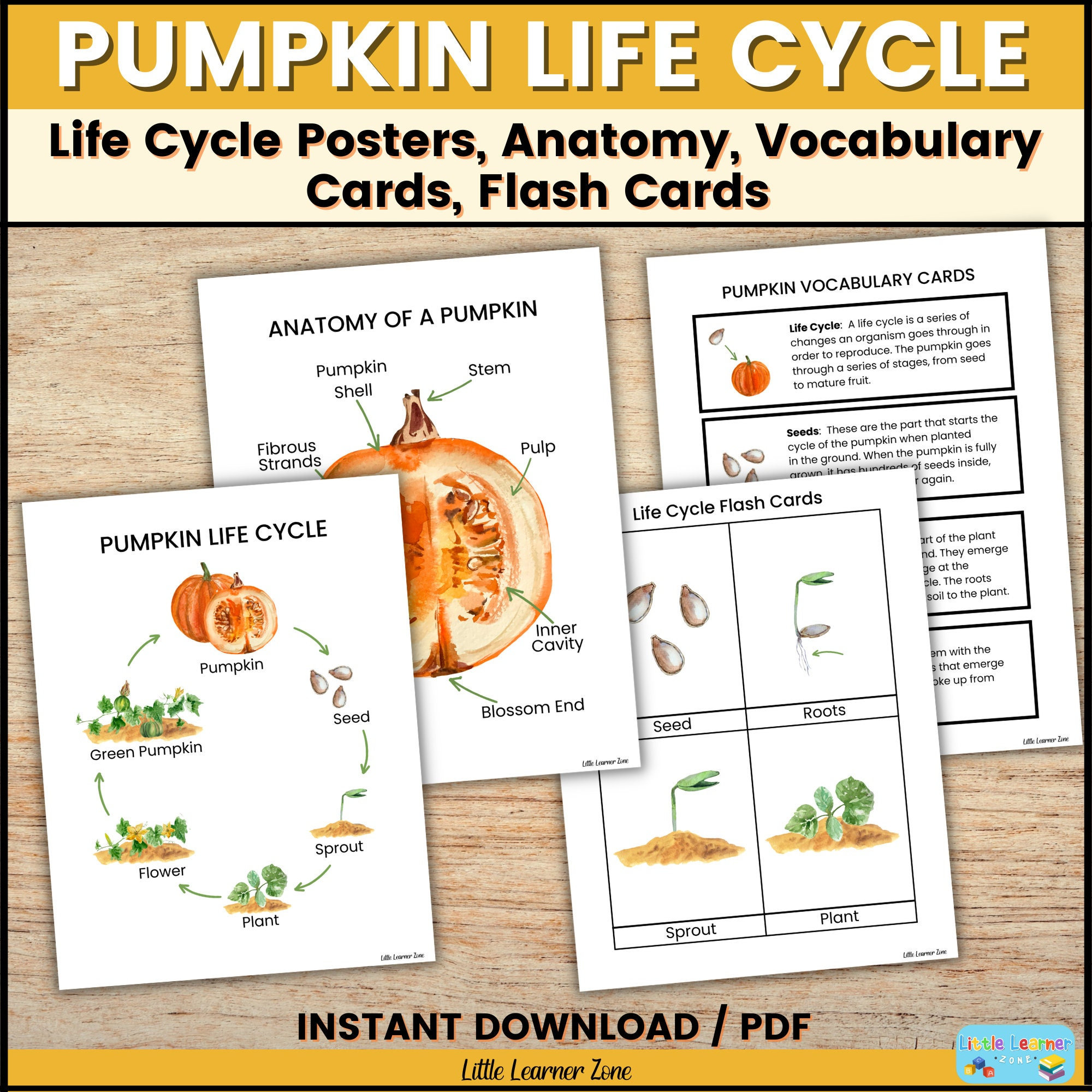 Pumpkin Life Cycle Printable, Fall Pumpkin Poster, Pumpkin Vocabulary ...