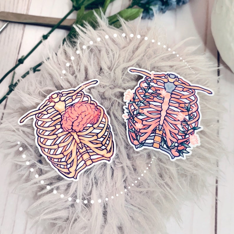Floral Ribcage Sticker: Botanical Anatomy, STEM Art - Etsy