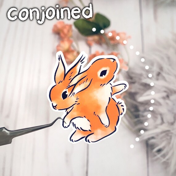 Cute Conjoined Animals