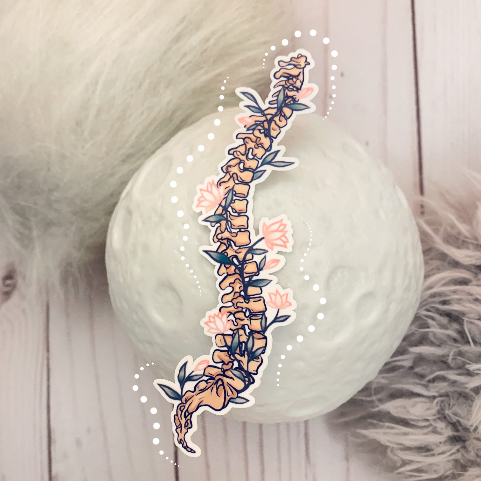 Floral Spine Aesthetic Biology Sticker Cute STEM Sticker - Etsy