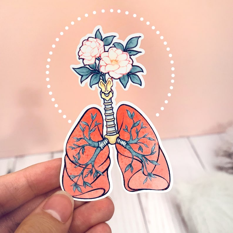 Cute Floral Lung Sticker Biology Anatomy Pulmonology Study - Etsy