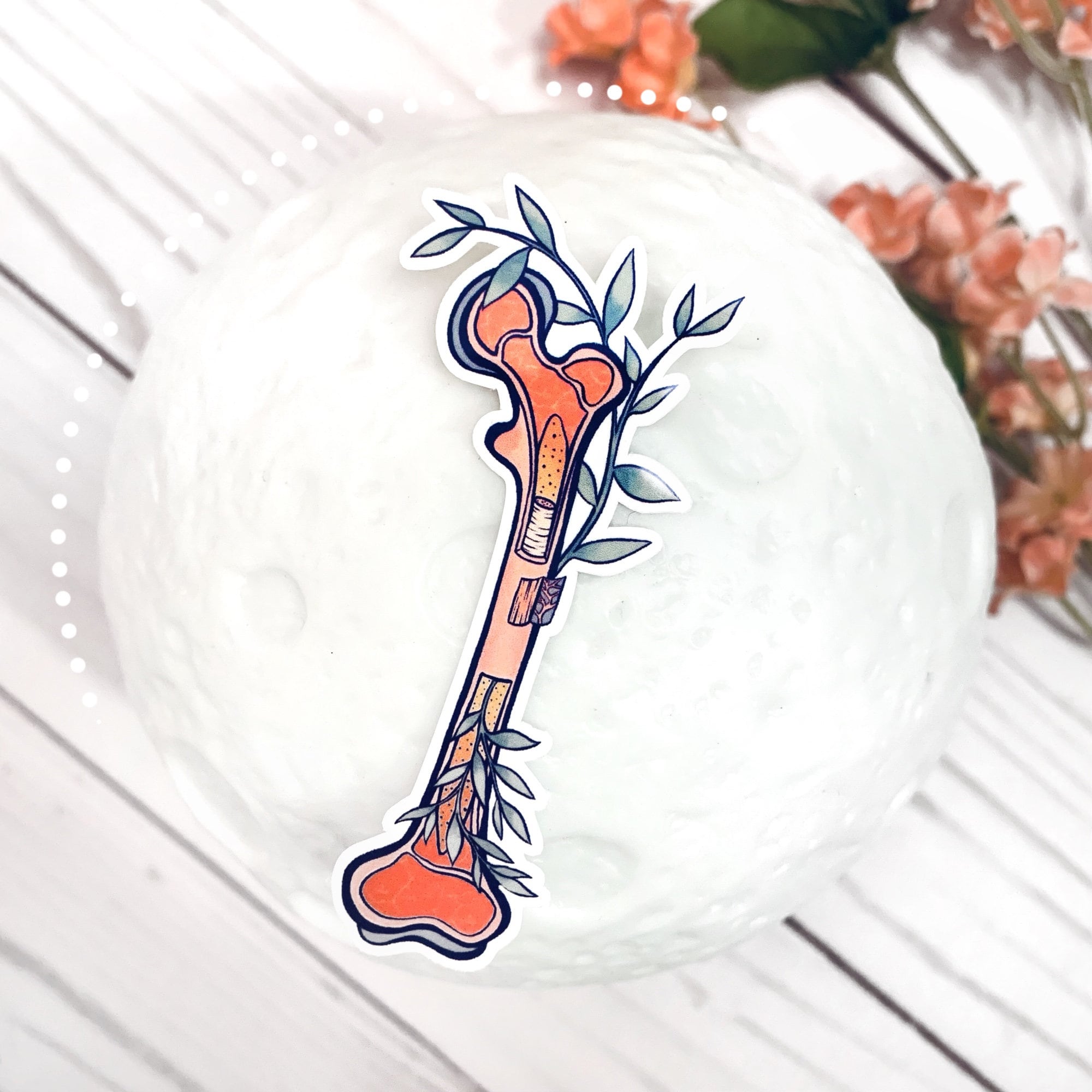 Floral Bone Aesthetic Biology Sticker Cute STEM Sticker - Etsy