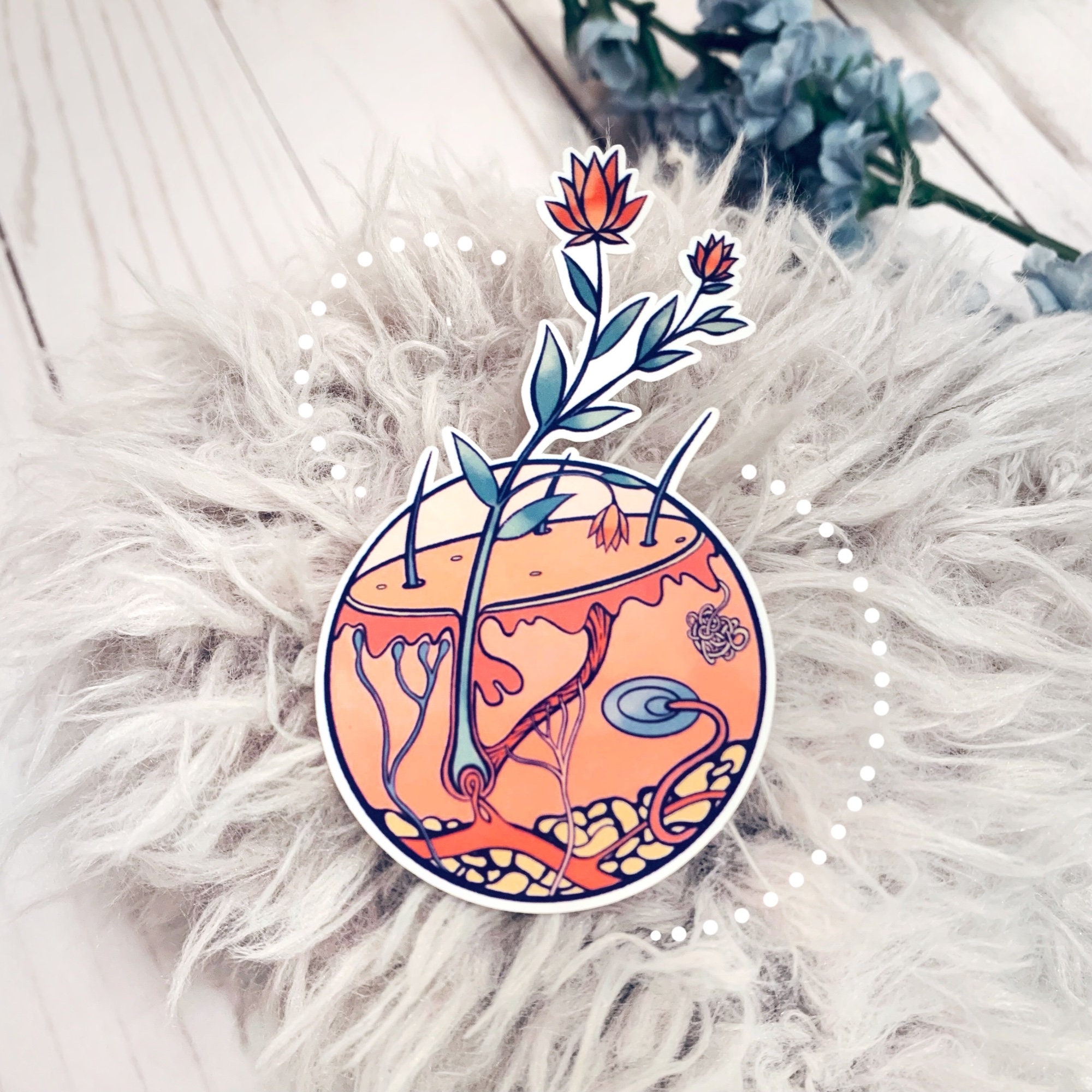 Skin Anatomy Sticker Dermatology Anatomy Sticker Biology - Etsy