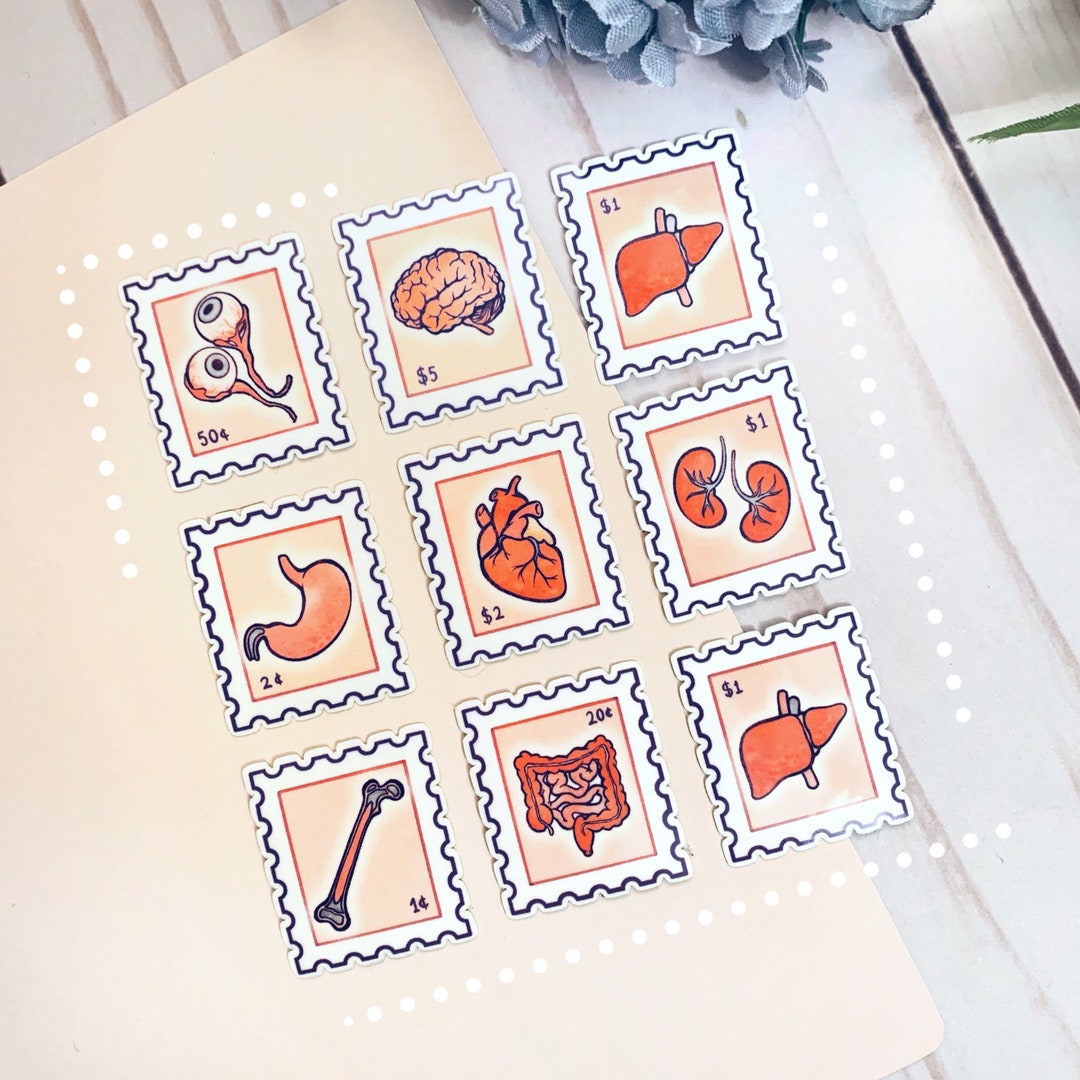 Cute Organ Stamp Sticker Set | Heart | Brain | Kidney | Lungs ...