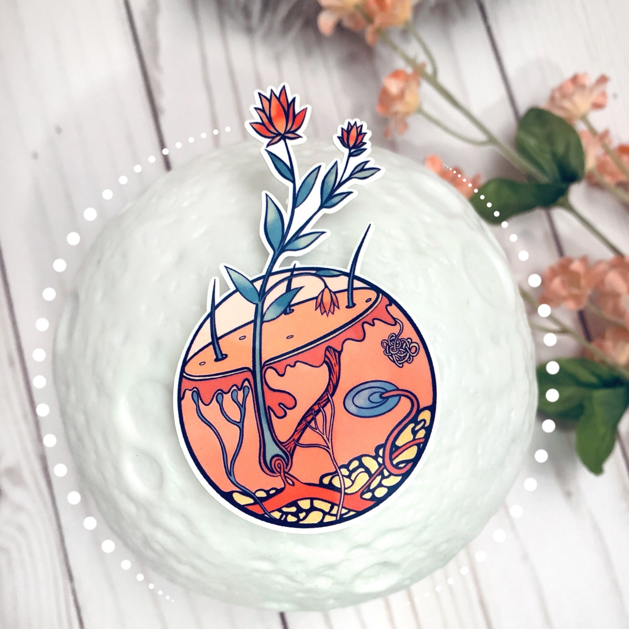 Skin Anatomy Sticker Dermatology Anatomy Sticker Biology - Etsy