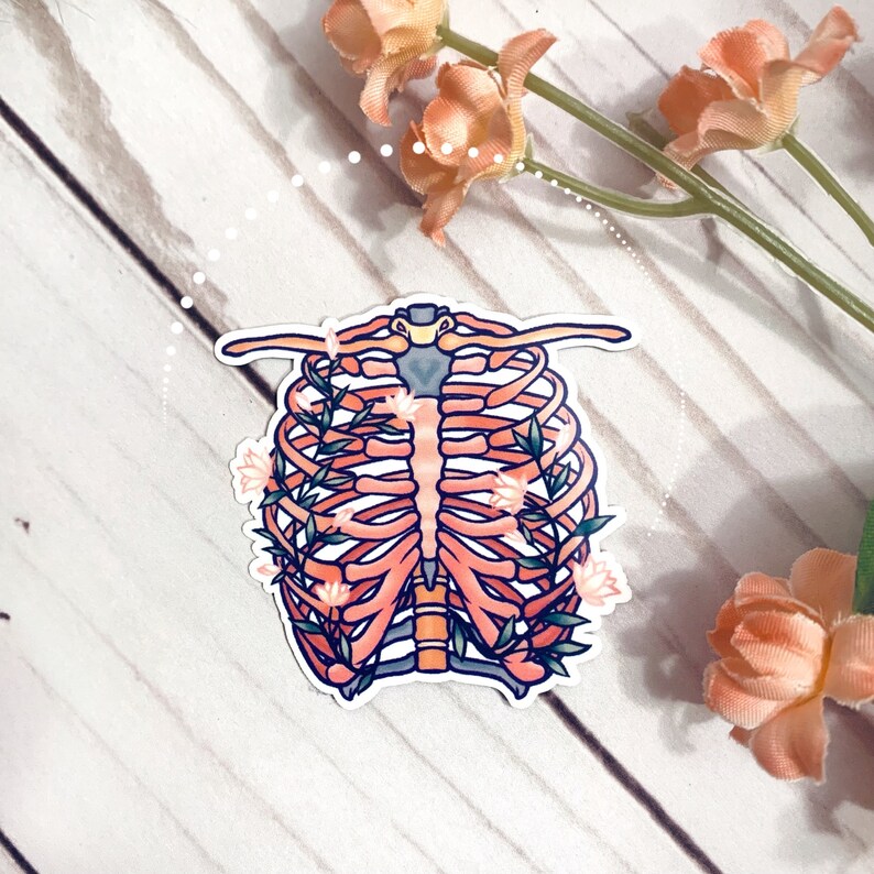 Floral Ribcage Sticker: Botanical Anatomy, STEM Art - Etsy