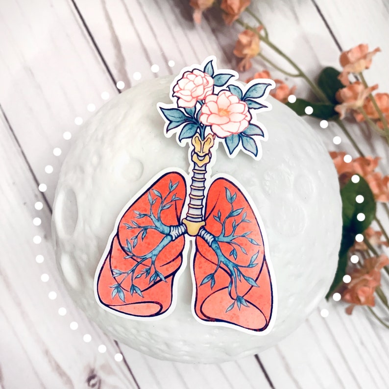 Cute Floral Lung Sticker Biology Anatomy Pulmonology Study - Etsy