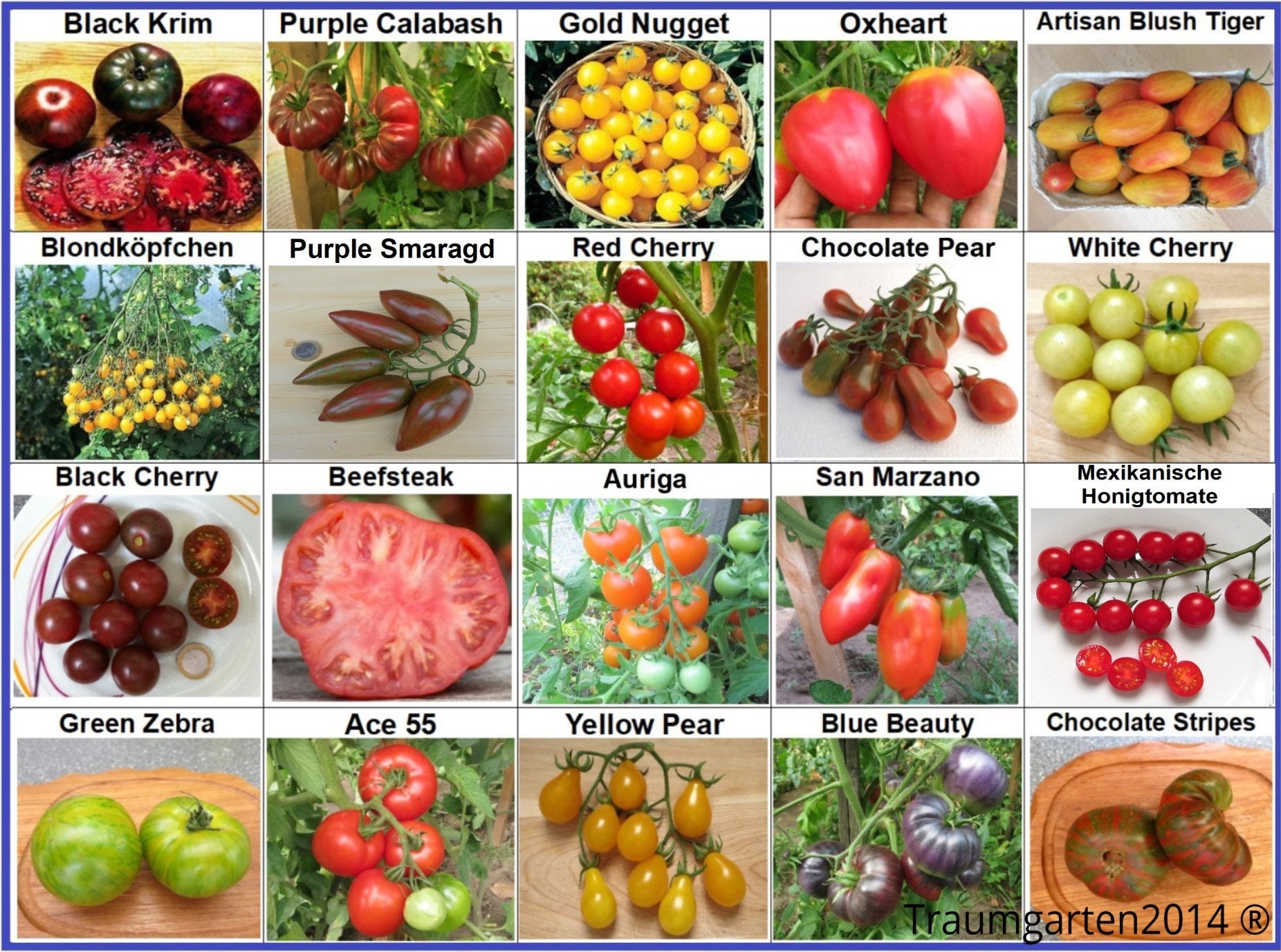 Tipos Y Variedades De Tomates BASF Ofrece 9 Tomates Resistentes A