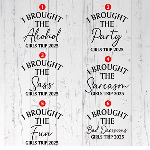 Girls Trip Shirts, Girl's Trip 2025 Tee, Girls Weekend Shirts, I'll Bring the Shirt, I Brought ...