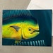 Mahi Mahi Greeting Card, Congratulations Encouragement Thank You, Blank ...