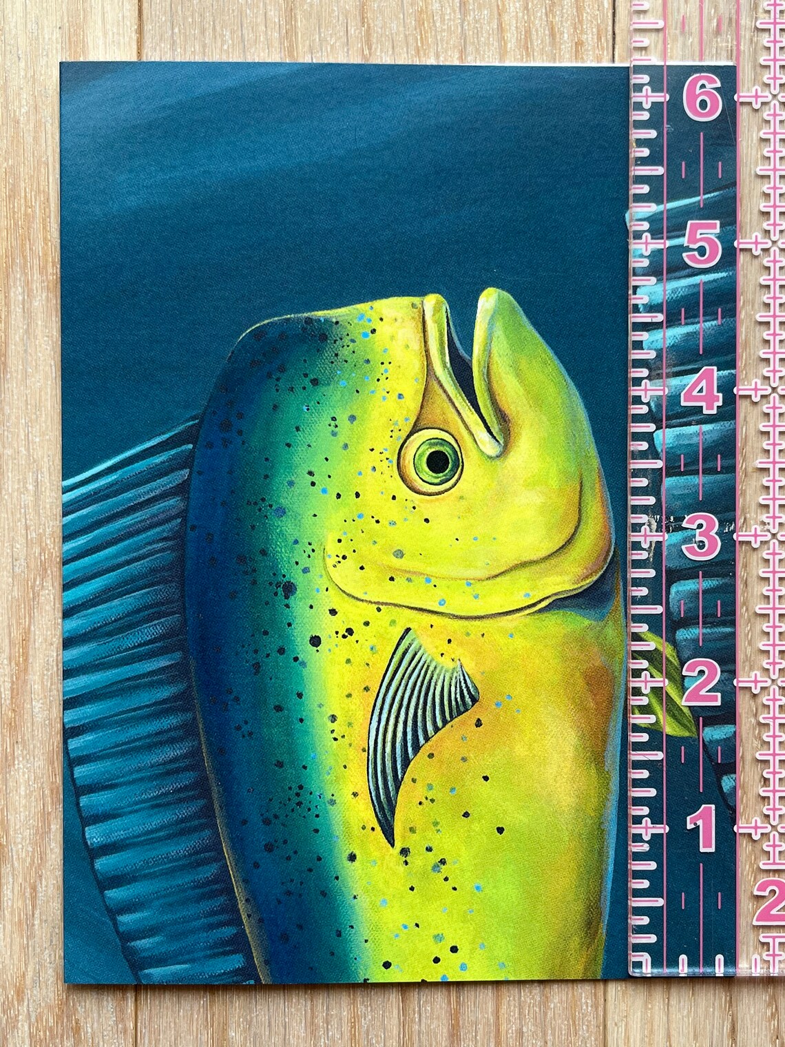 Mahi Mahi Greeting Card, Congratulations Encouragement Thank You, Blank ...