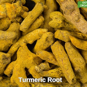 100% Organic Whole Turmeric Root - Curcuma Longa, 6 Oz (180g), Natural ...