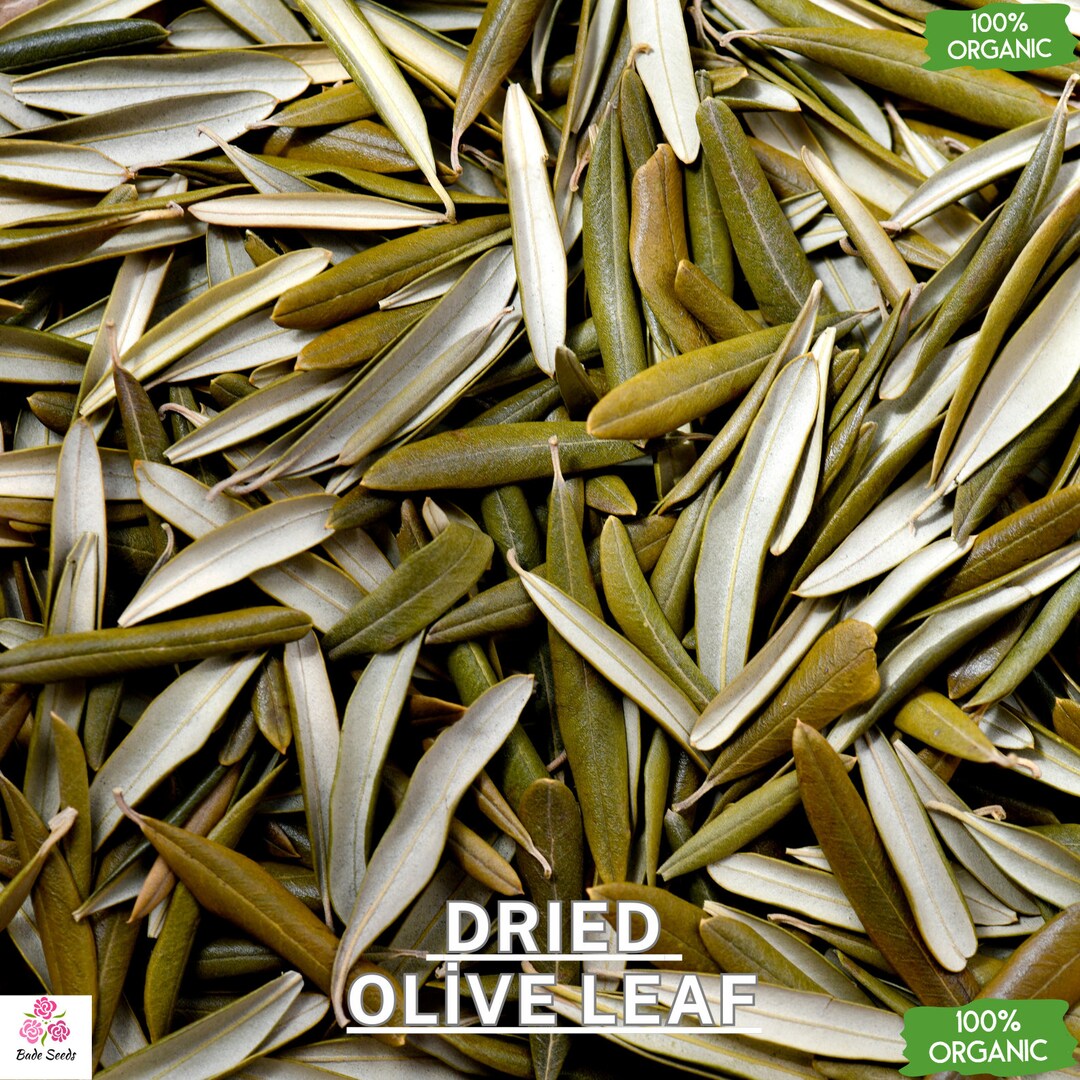 Organic Dried Olive Leaf 6 Oz | Loose Olive Leaves | Herbal Tea ...