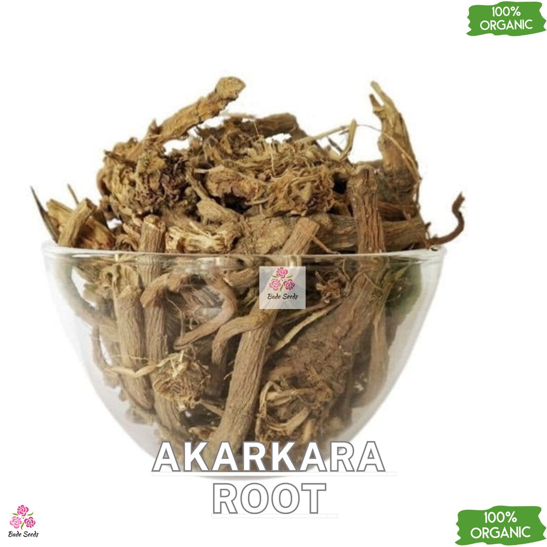 Organic Dried Pellitory Root, Anacyclus Pyrethrum Root, 100% Natural ...