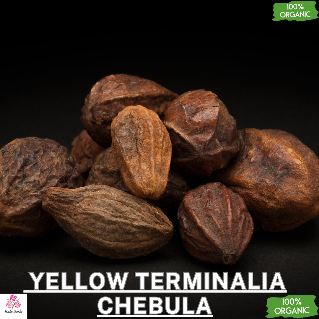 100% Organic Yellow Terminalia Chebula Seeds ,yellow Myrobalan Seeds ...