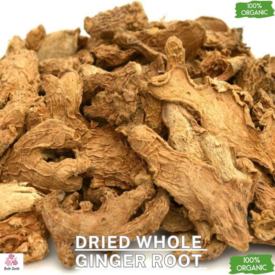 Premium Dried Whole Ginger Root - Natural Spice for Cooking, Teas, and ...