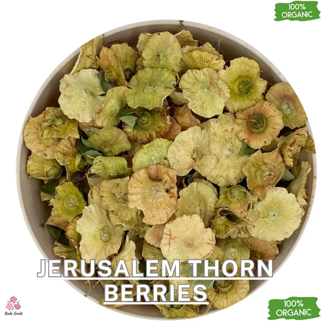 4 Oz 120 Gr - Organic Jerusalem Thorn Berries Tea | Unique Dried ...