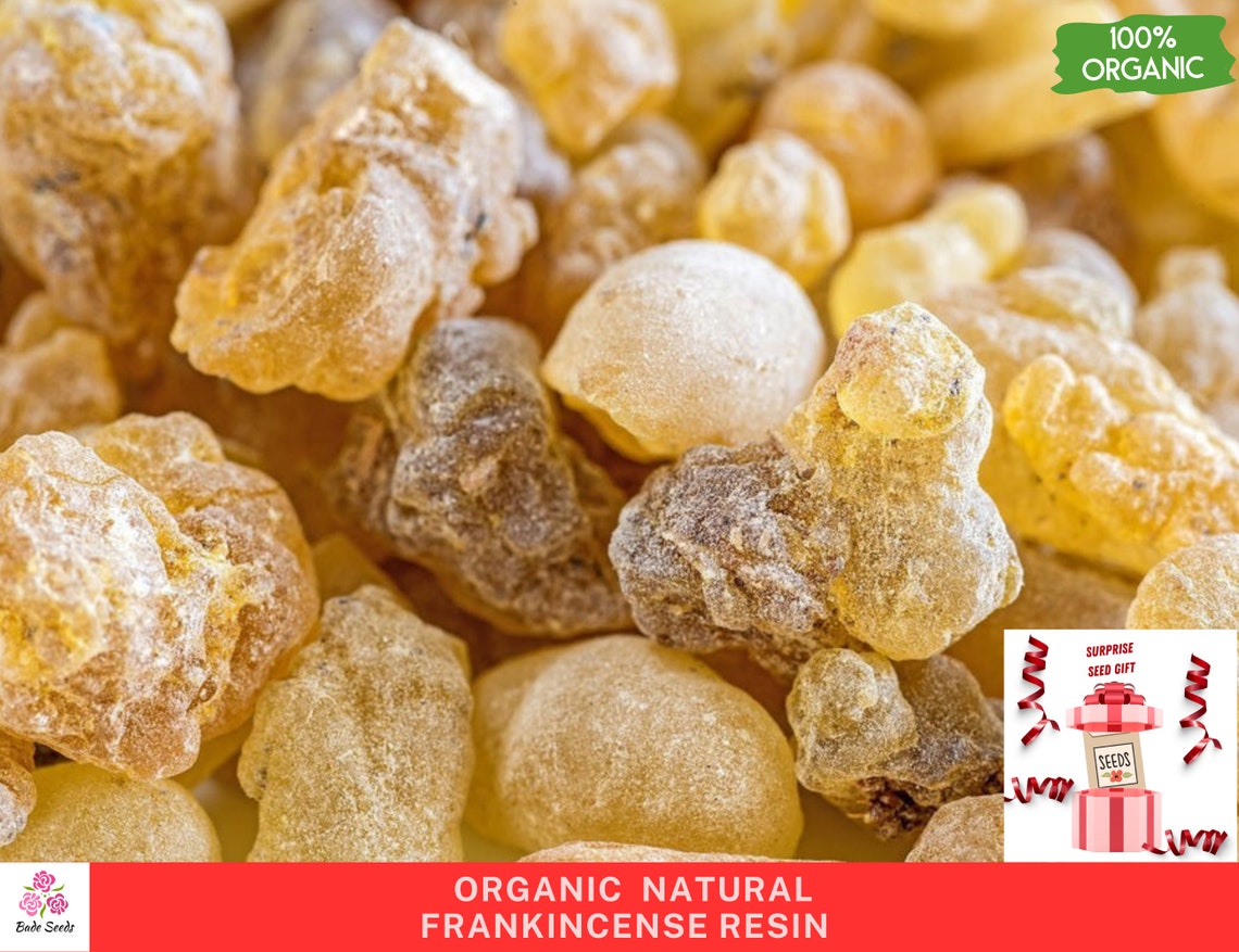 100% Organic Natural Frankincense Resin Incense , Granular Incense ...