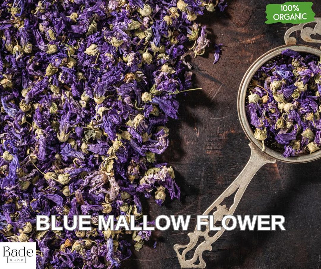 100% Organic Dried Blue Mallow Flower Tea - 5 Oz 150 Gr | Malva ...