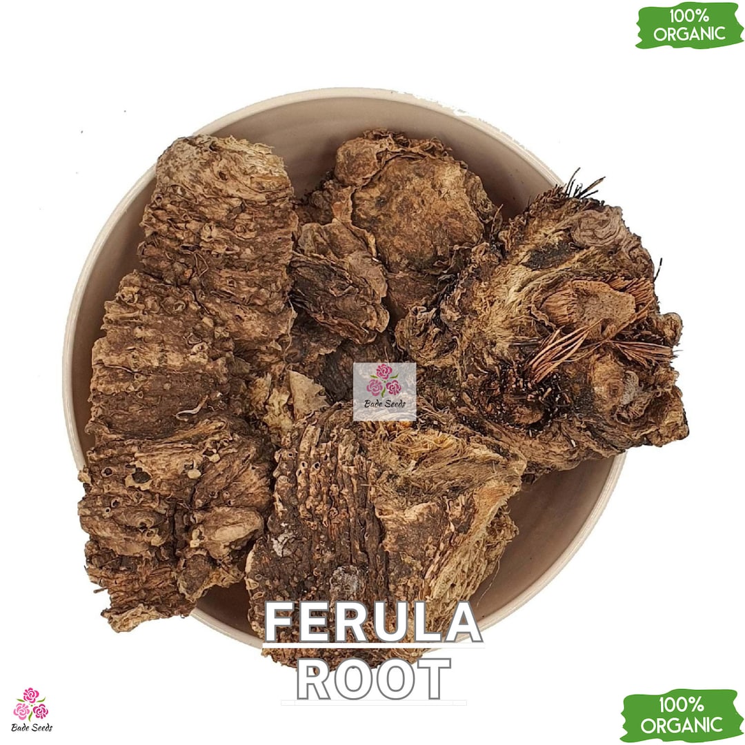 Organic Dried Ferula Root - Premium Quality Dried Herb - Dried & Cut ...