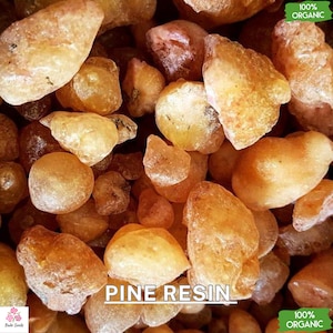 100% Organic Natural Pine Resin - Natural Craft Supplies for Incense ...
