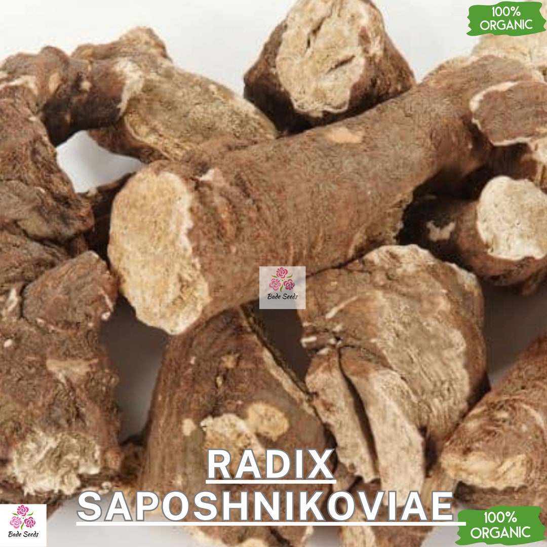 100% Organic Saposhnikovia Divaricata Root , Radix Saposhnikoviae ...