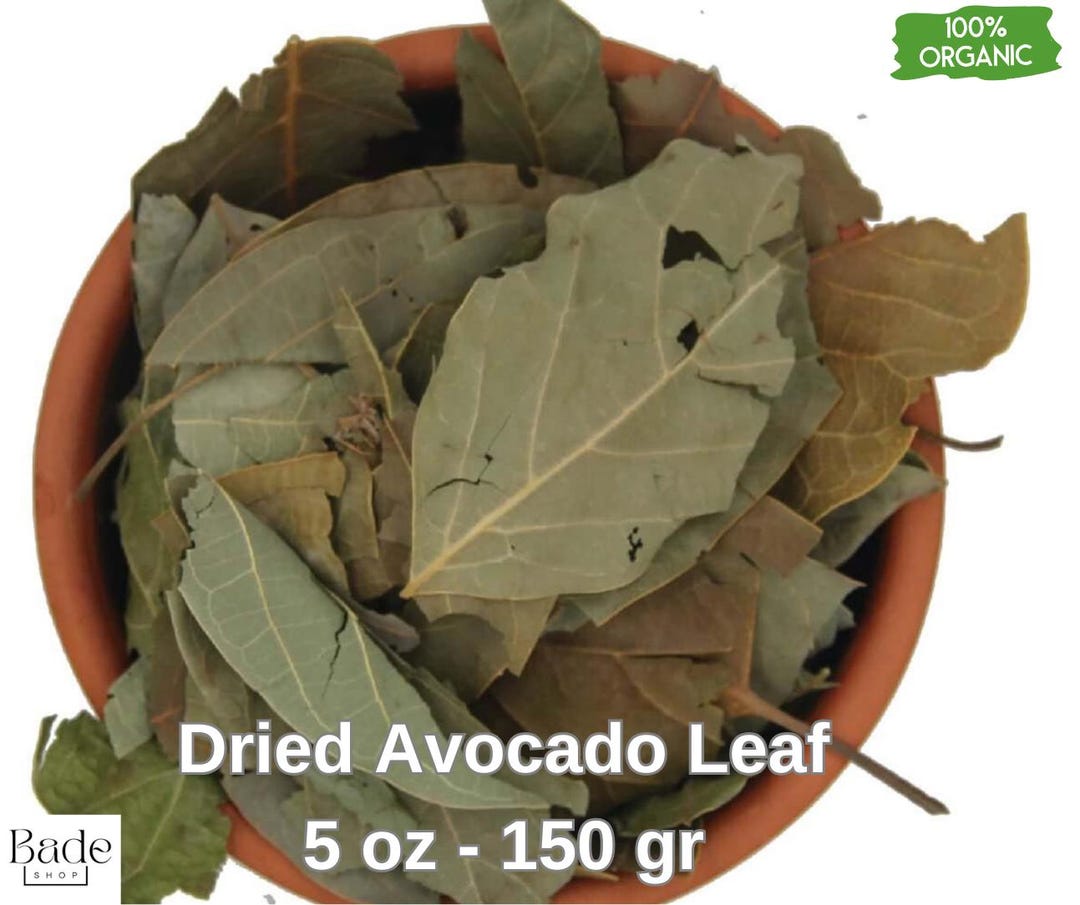 Organic Dried Avocado Leaf | Natural Herbal Tea Ingredient | Tea, and ...