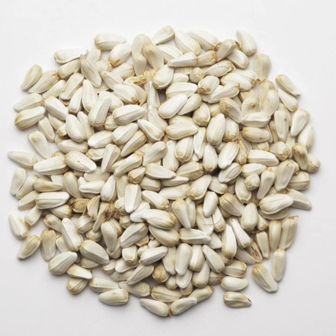 Organic Safflower Seeds, Carthamus Tinctorius - 100 Seeds, Saffron ...